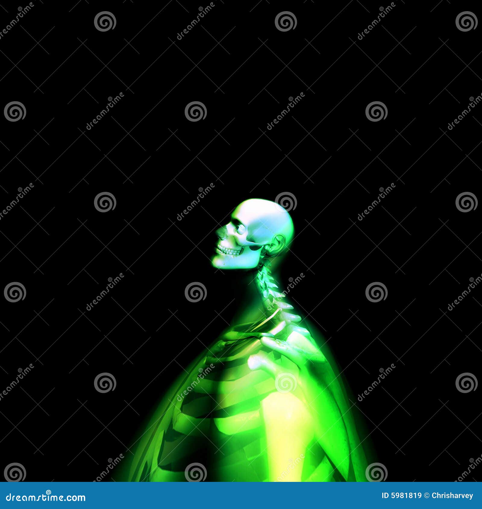 Distorted Green Skeleton 3 Picture. Image: 5981819