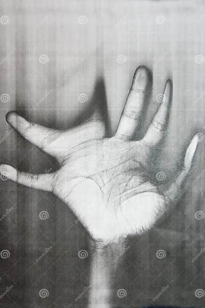 Distorted hand palm stock photo. Image of fingerprint - 28028202