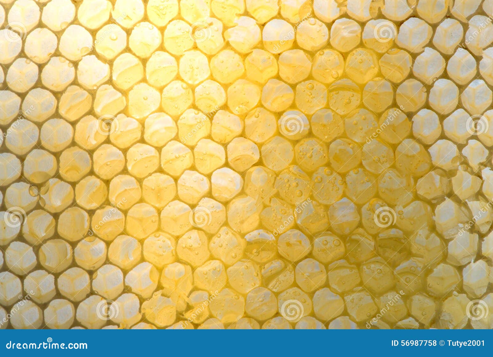 Distorted Honeycombs, Half Filled with Honey Stock Photo - Image of ...