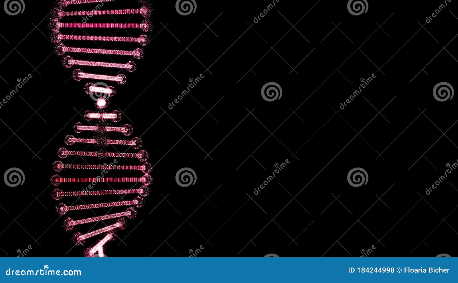 Distorted Pink Dna Replica on a Black Background. Stock Illustration ...