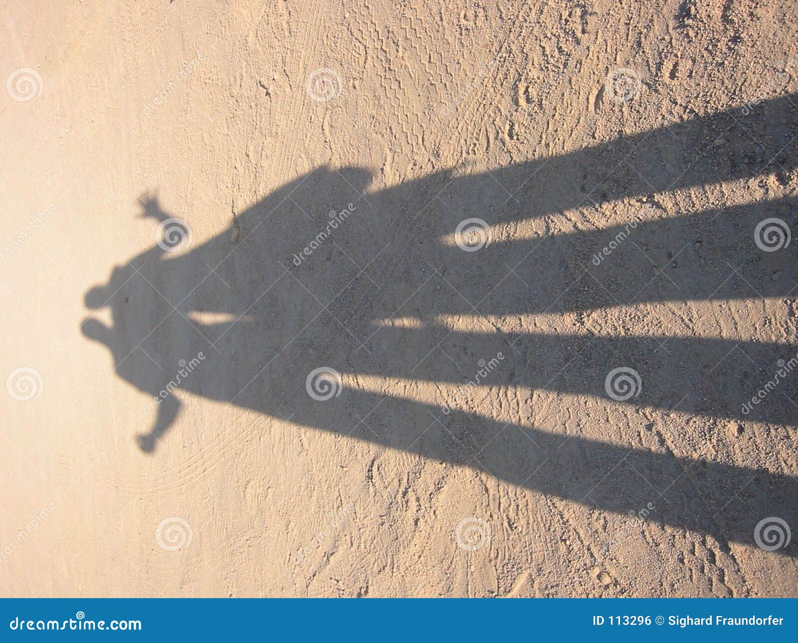 Distorted shadow stock photo. Image of desert, happiness - 113296