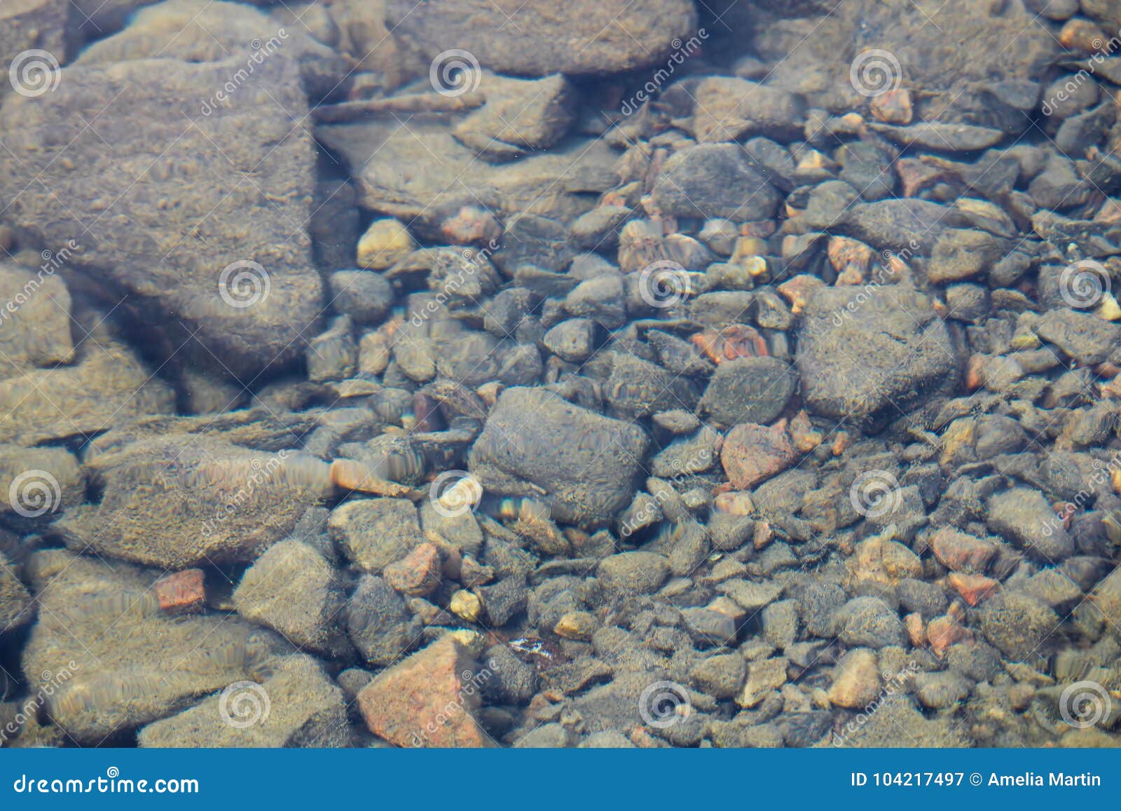 Distorted View of Slit Covered Rocks in Water Stock Image - Image of ...