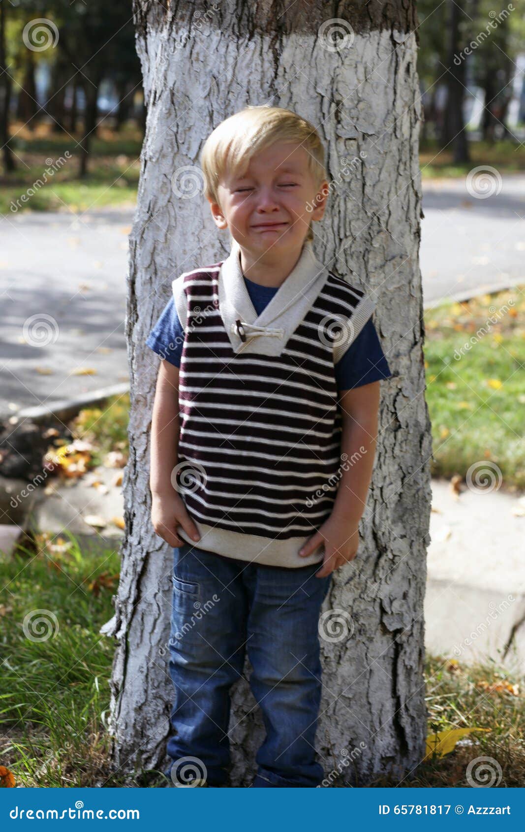 Distraught little boy stock image. Image of autumn, childhood - 65781817
