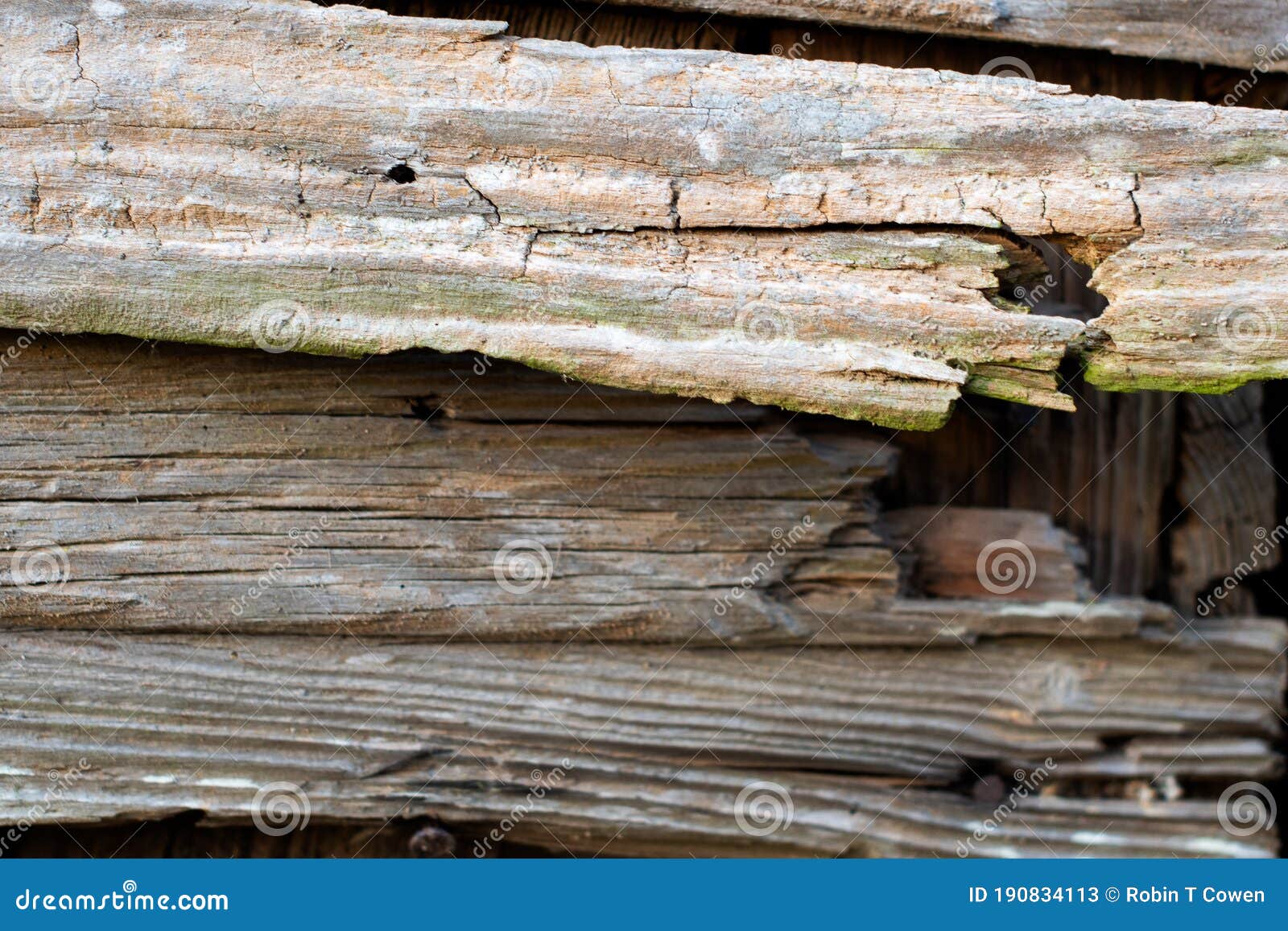 Distressed Cracked Wood of a Barn Stock Image - Image of details, nails ...