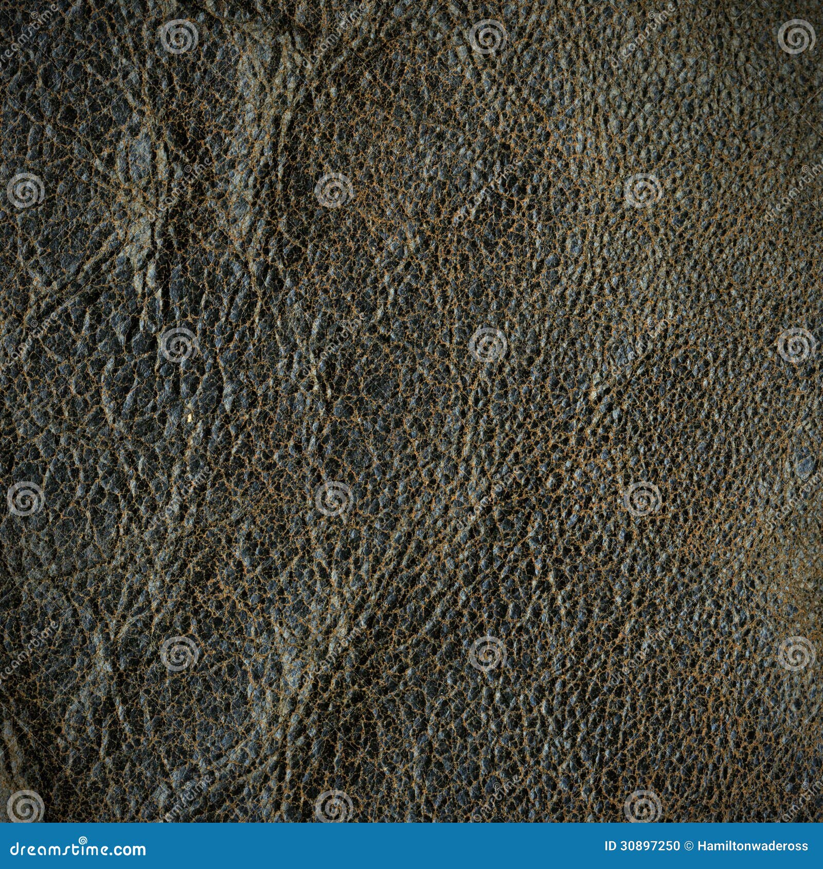 Distressed leather stock photo. Image of distressed, leather - 30897250