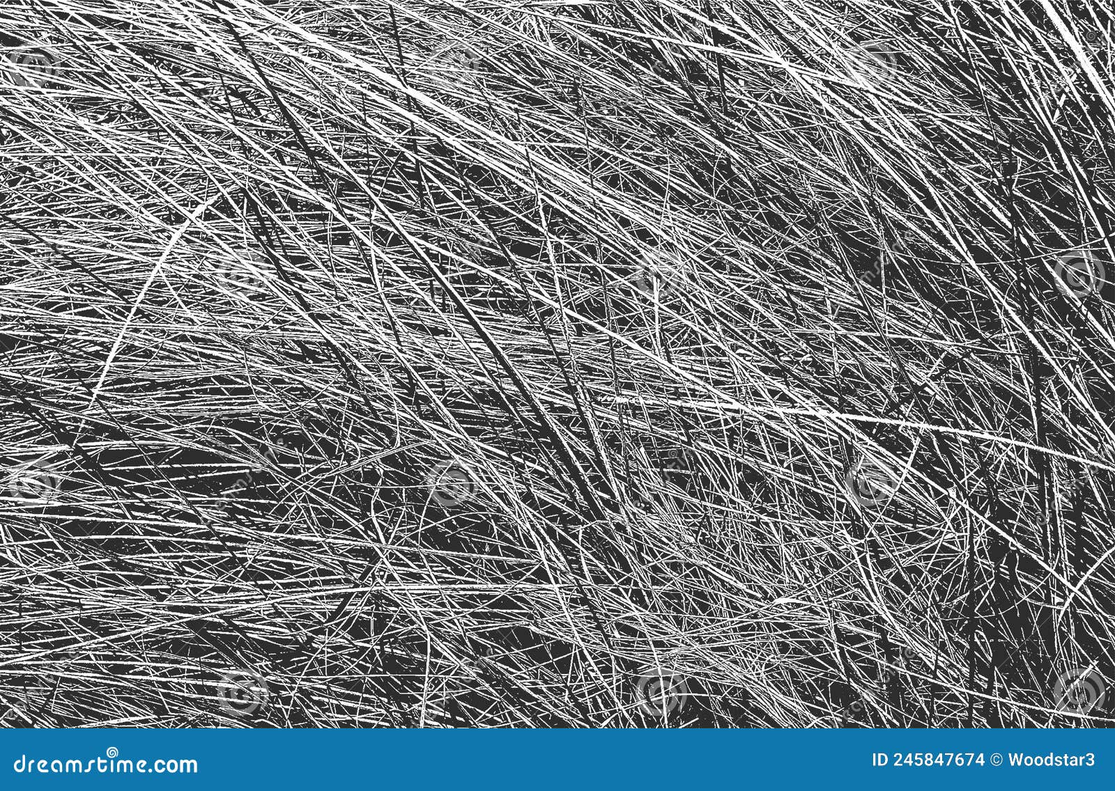 Distressed Overlay Grass Stem Texture on the Ground. Grunge Black and ...