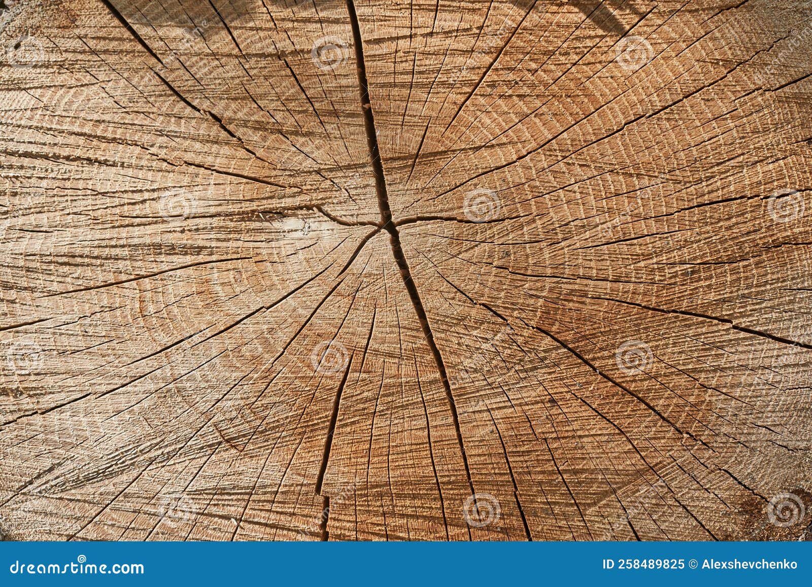 Distressed Weathered Wooden Texture Stock Image - Image of textured ...