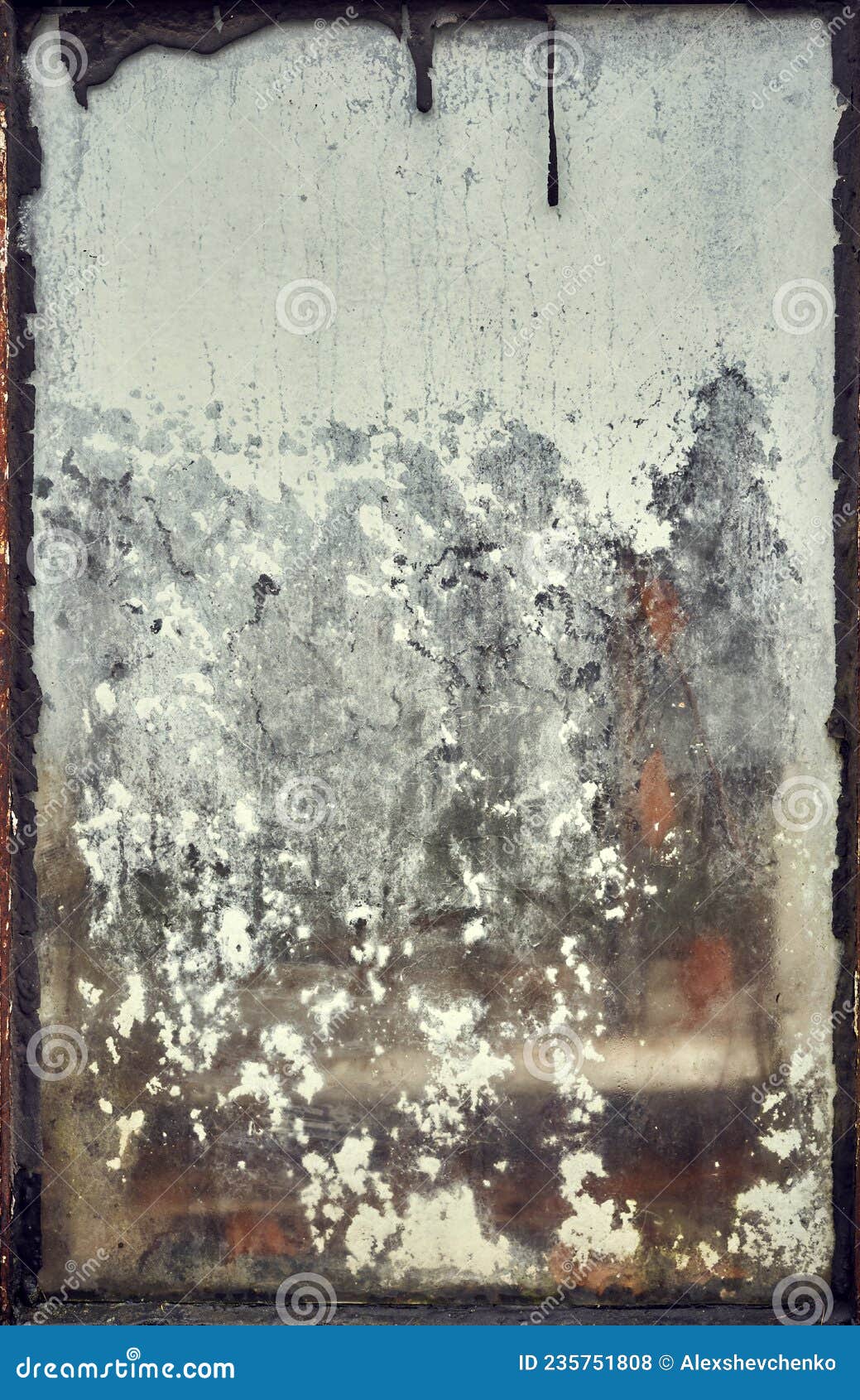 Distressed Window of the Abandoned Ruined Greenhouse Stock Photo ...