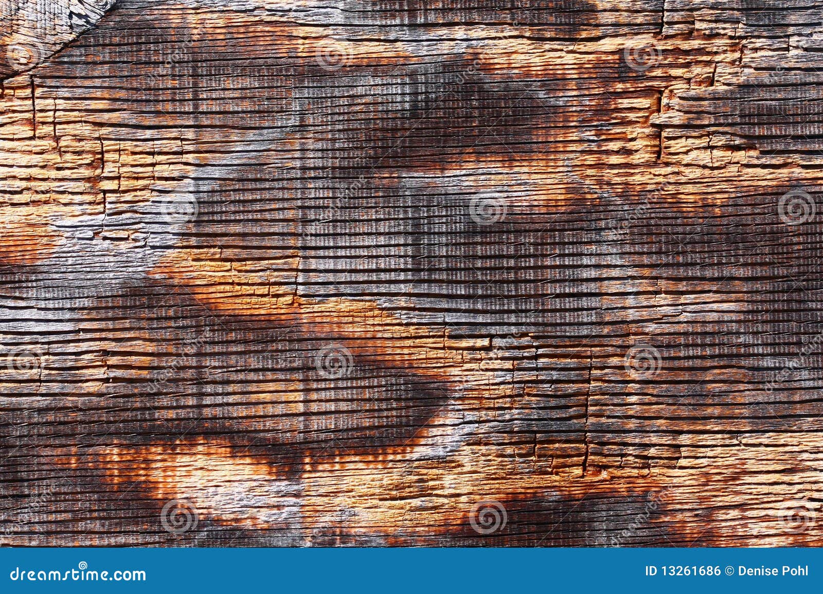 Distressed wood. stock photo. Image of grooves, distressed - 13261686