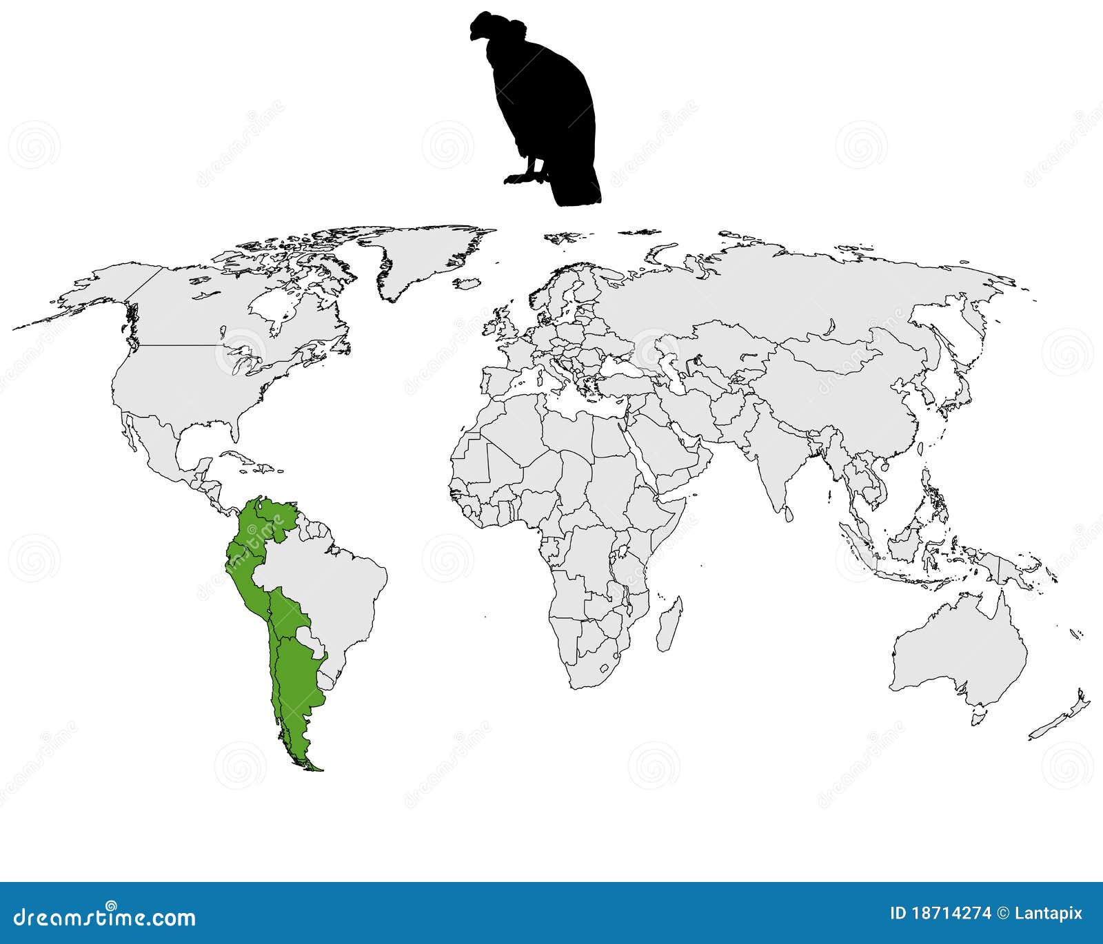 Distribución Del Cóndor Andino Imagenes de archivo - Imagen: 18714274