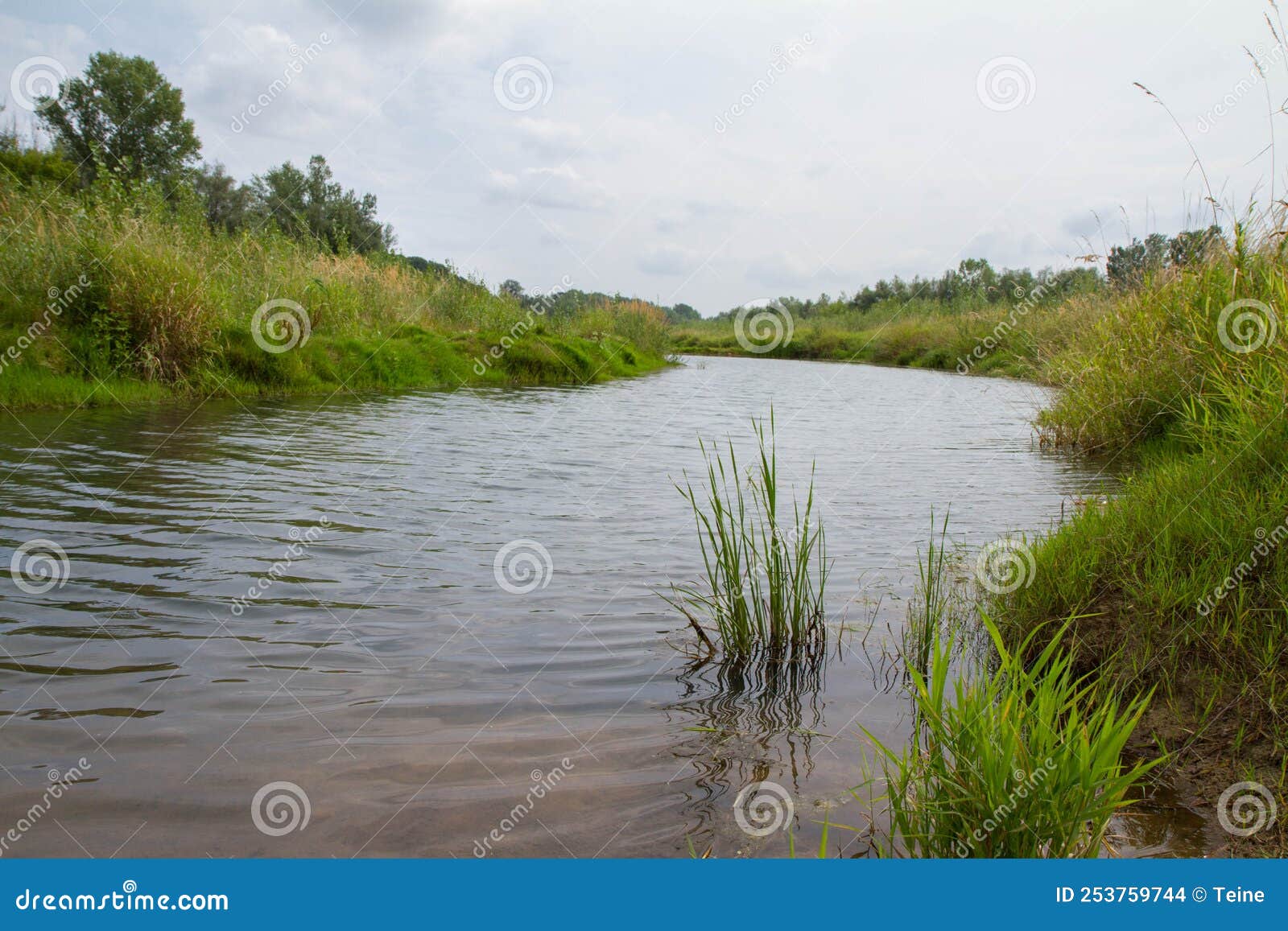The Wisla river stock photo. Image of marsh, europe - 253759744