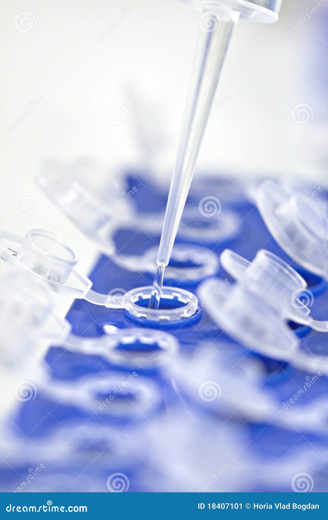 Distributing Sample Fluid in a Set of Lab Vials Stock Image - Image of ...