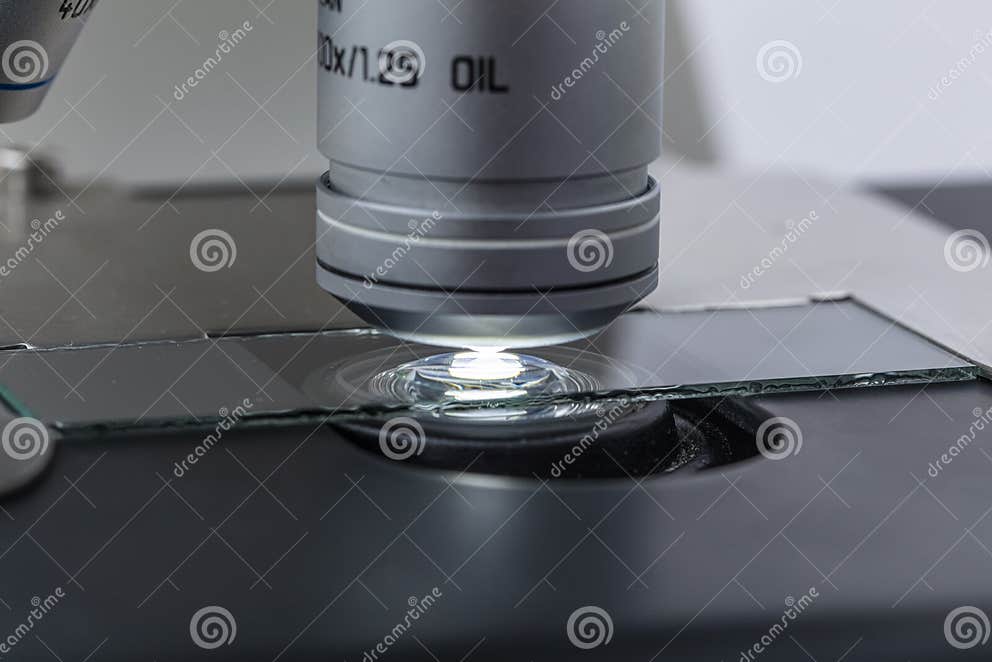 Distribution of Immersion Oil Under Light Microscope Objective Lens ...