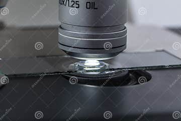 Distribution of Immersion Oil Under Light Microscope Objective Lens ...