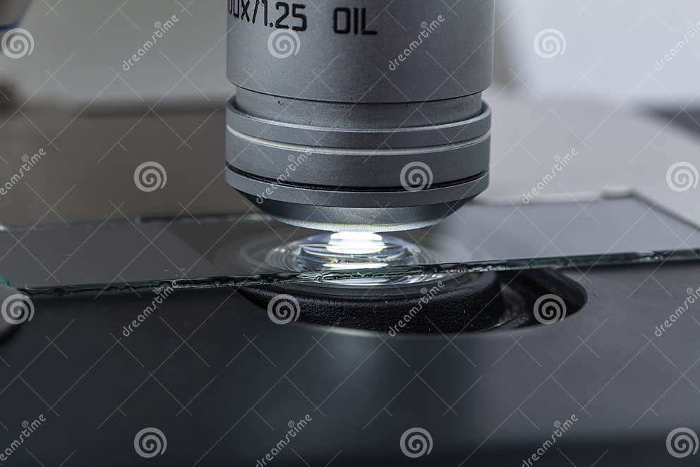 Distribution of Immersion Oil Under Light Microscope Objective Lens ...