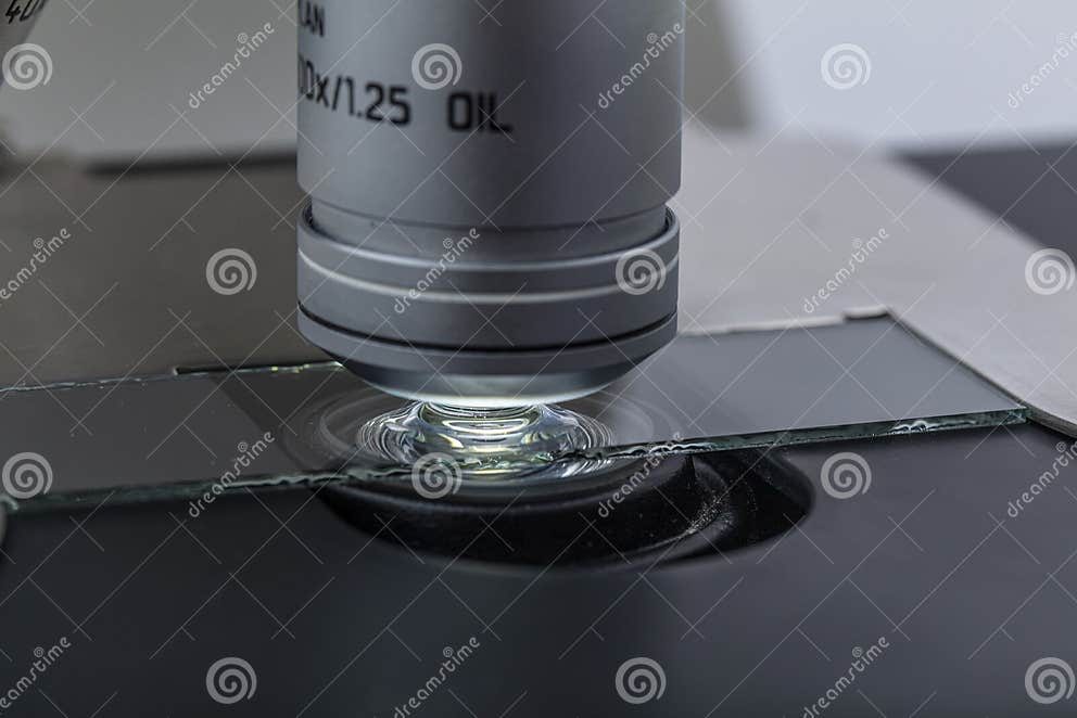 Distribution of Immersion Oil Under Light Microscope Objective Lens ...