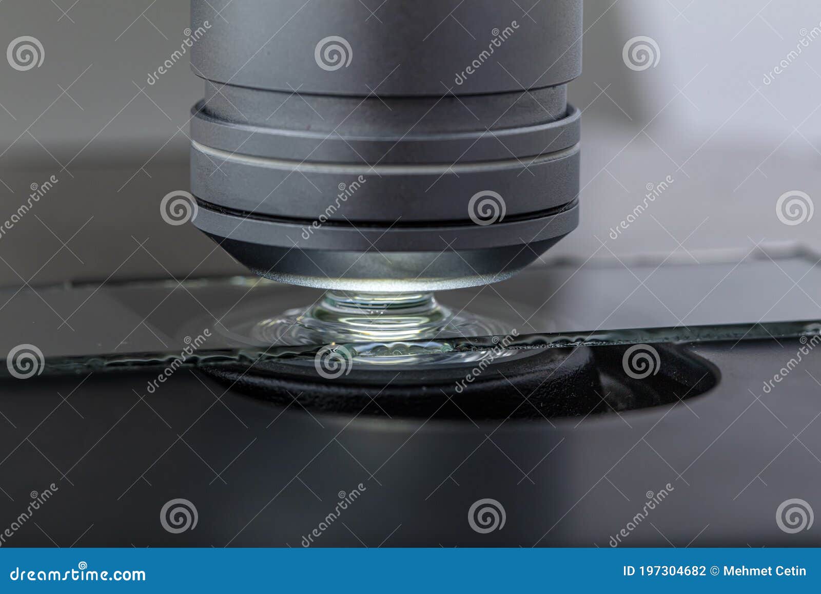 Distribution of Immersion Oil Under Light Microscope Objective Lens ...