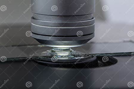 Distribution of Immersion Oil Under Light Microscope Objective Lens ...
