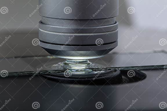 Distribution of Immersion Oil Under Light Microscope Objective Lens ...