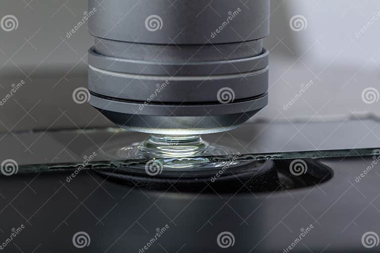 Distribution of Immersion Oil Under Light Microscope Objective Lens ...