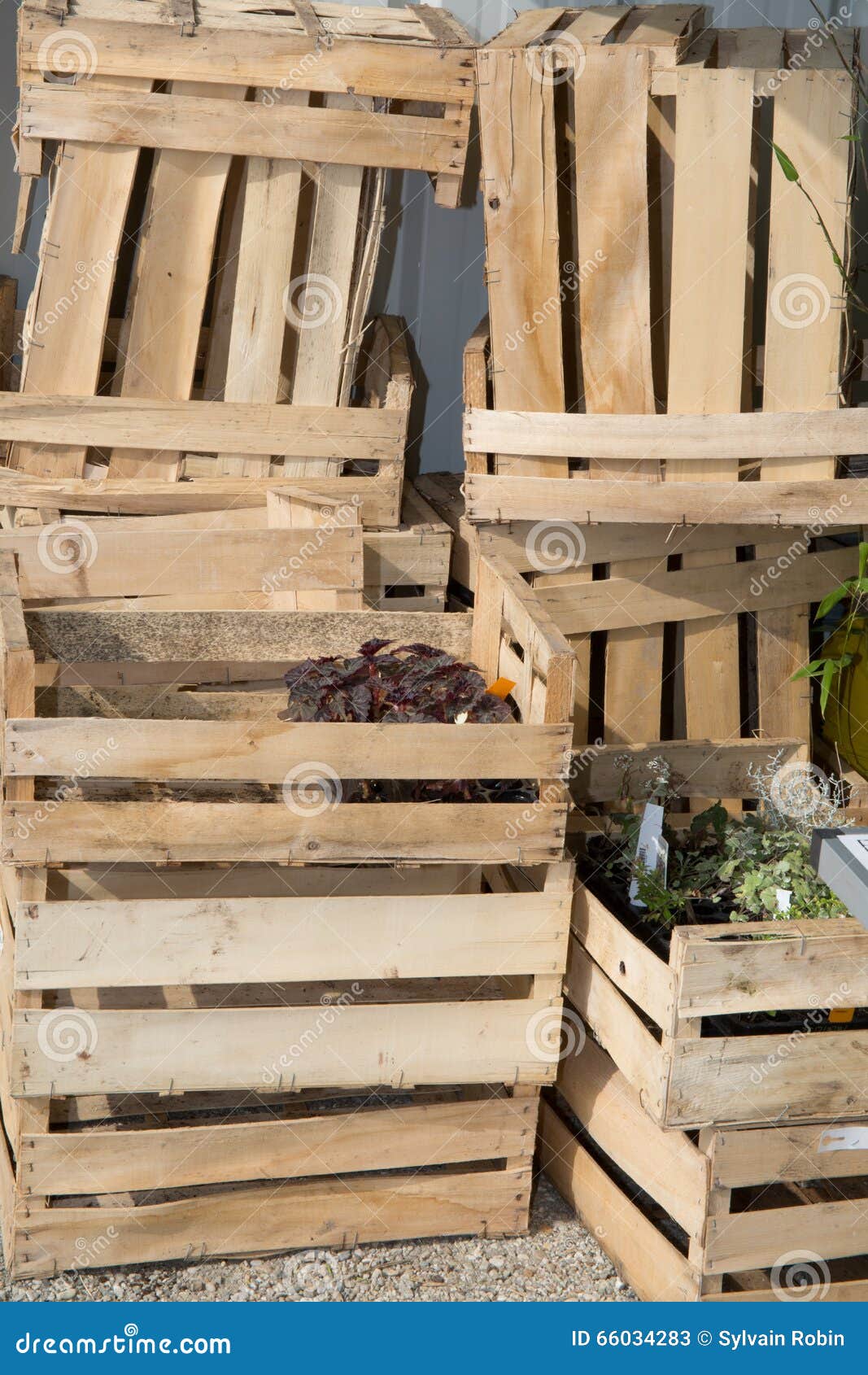 Distribution Warehouse for Fruits and Vegetables with Crates Stock ...
