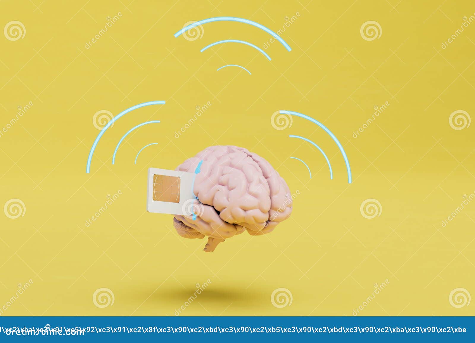 Distribution of a Wi-Fi Signal through a SIM Card. Brain with Inserted ...