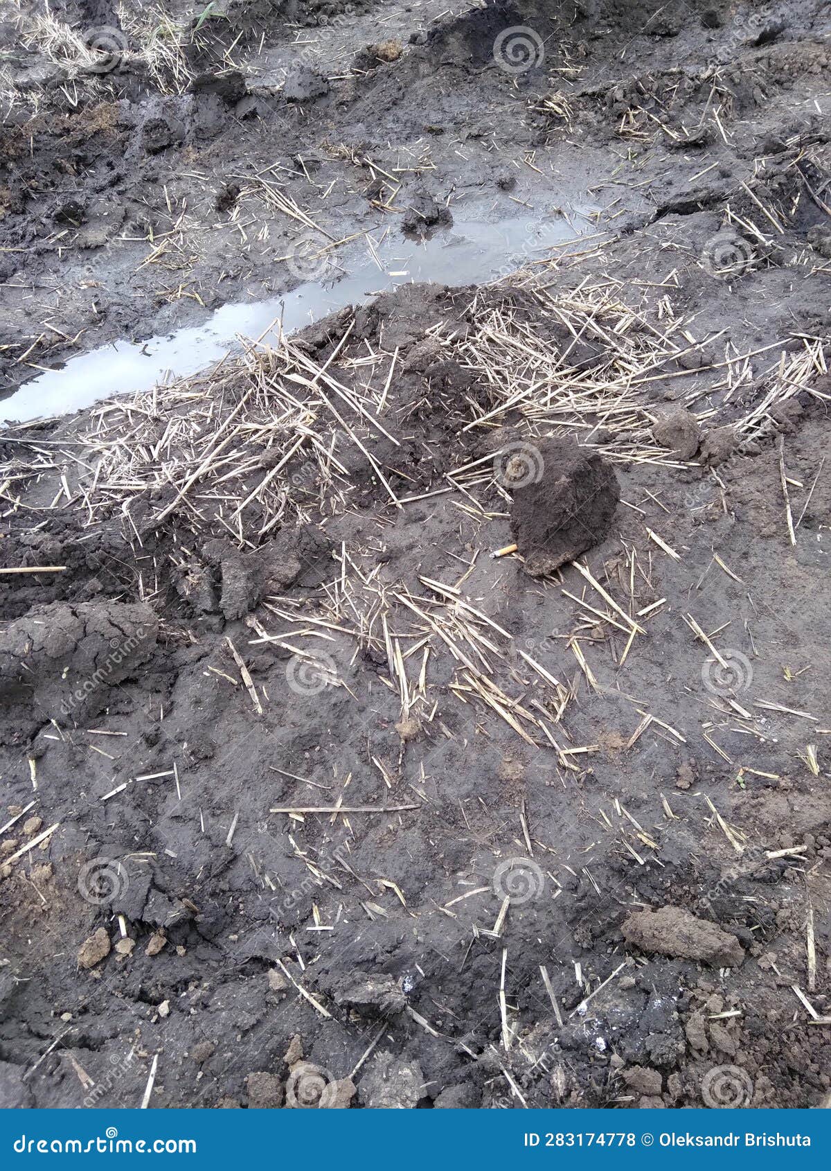 Disturbed Ground. Soil Texture Stock Photo - Image of degrade, texture ...