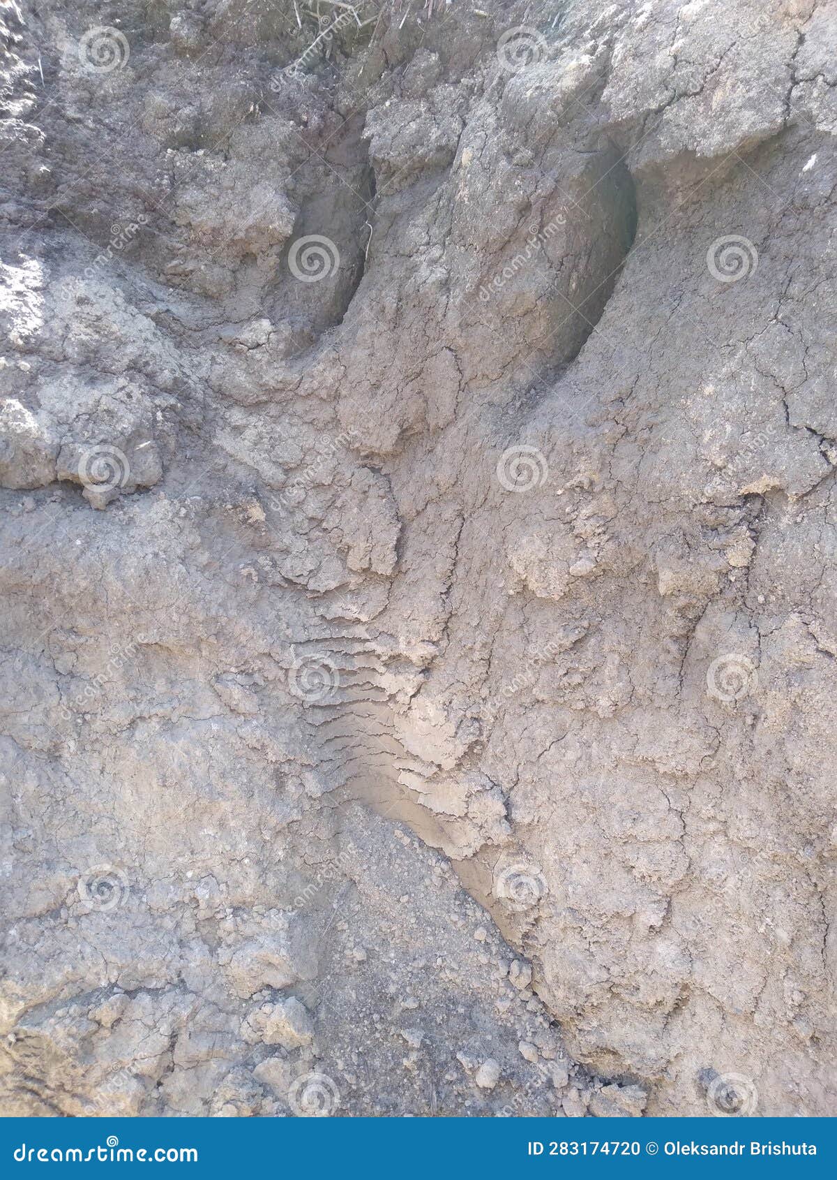 Disturbed Ground. Soil Texture Stock Photo - Image of terrain, invasion ...