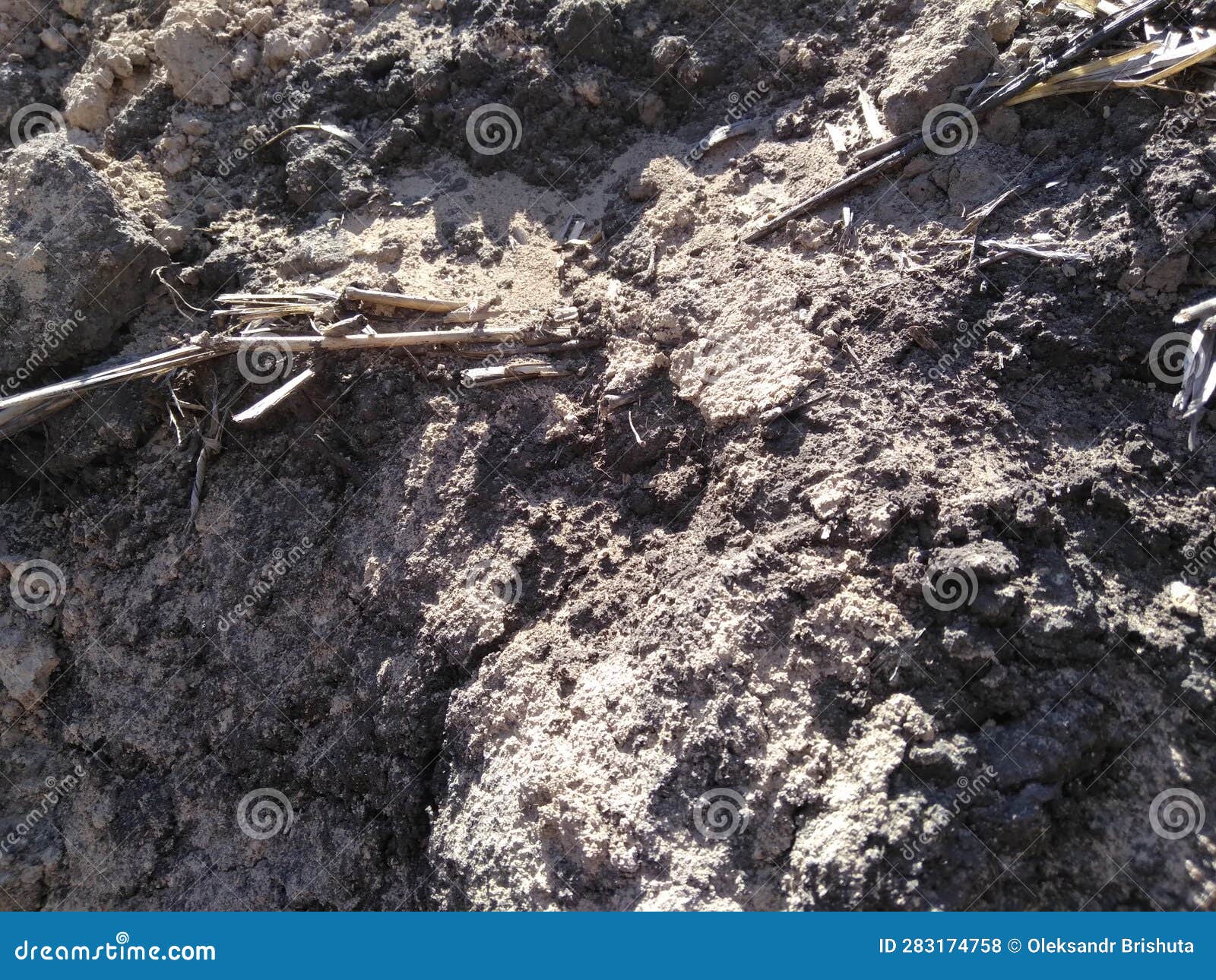 Disturbed Ground. Soil Texture Stock Photo - Image of sand, grunge ...