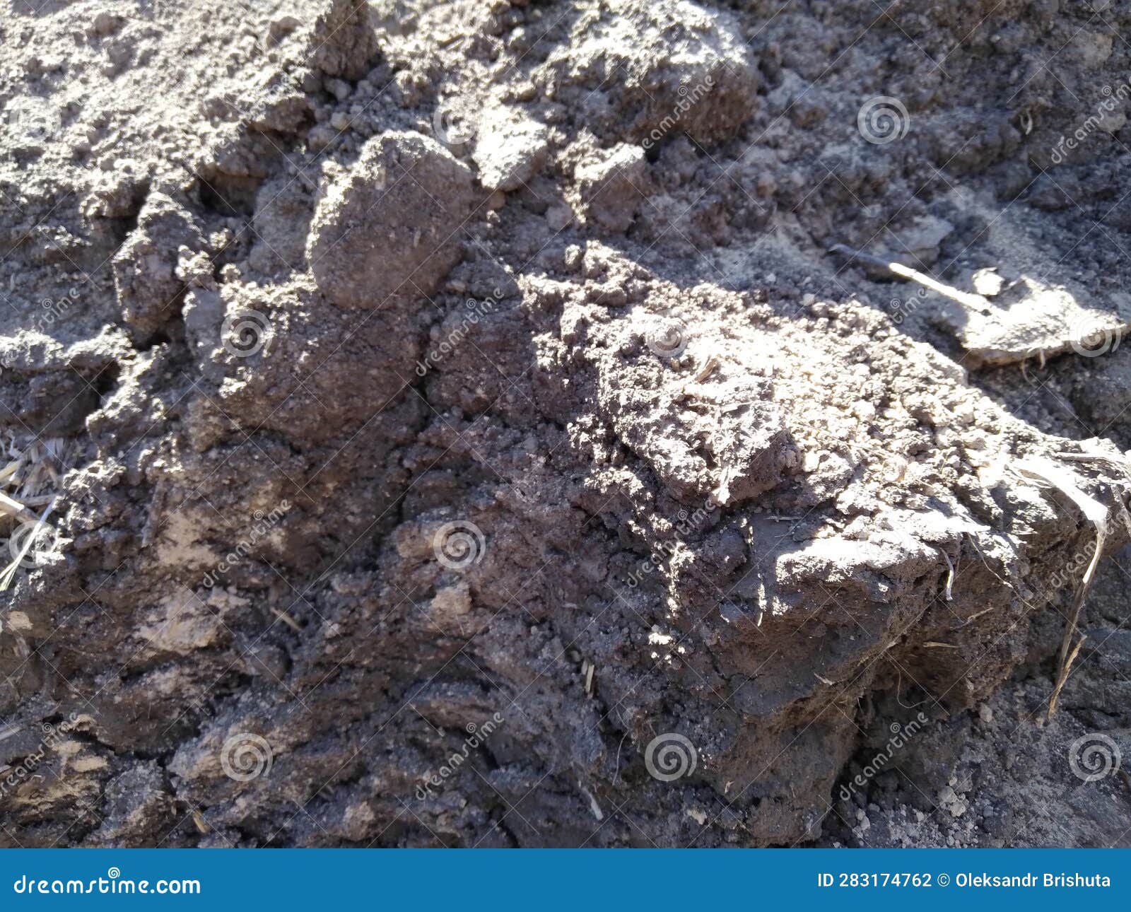 Disturbed Ground. Soil Texture Stock Photo - Image of stones, rural ...