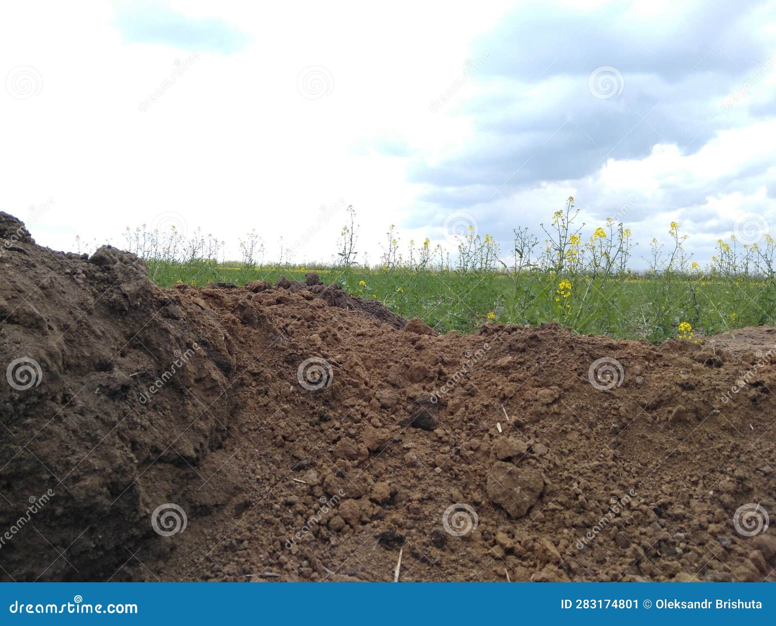 Disturbed Ground. Soil Texture Stock Image - Image of erosion, field ...