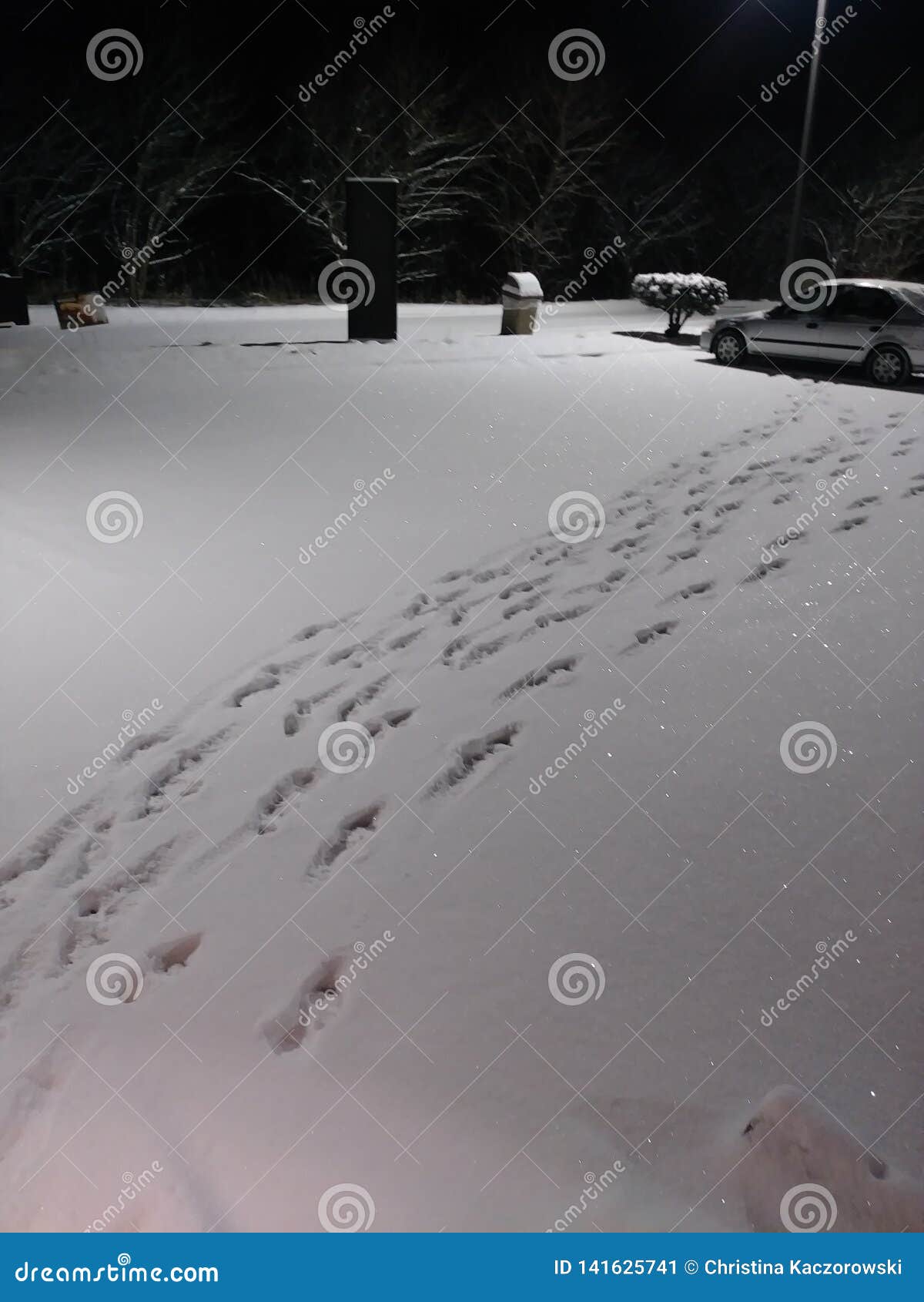 Disturbed New Snow stock image. Image of work, winter - 141625741