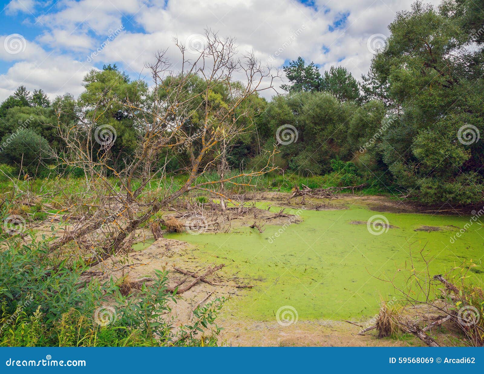 Disturbing the ecology stock image. Image of levels, layer - 59568069