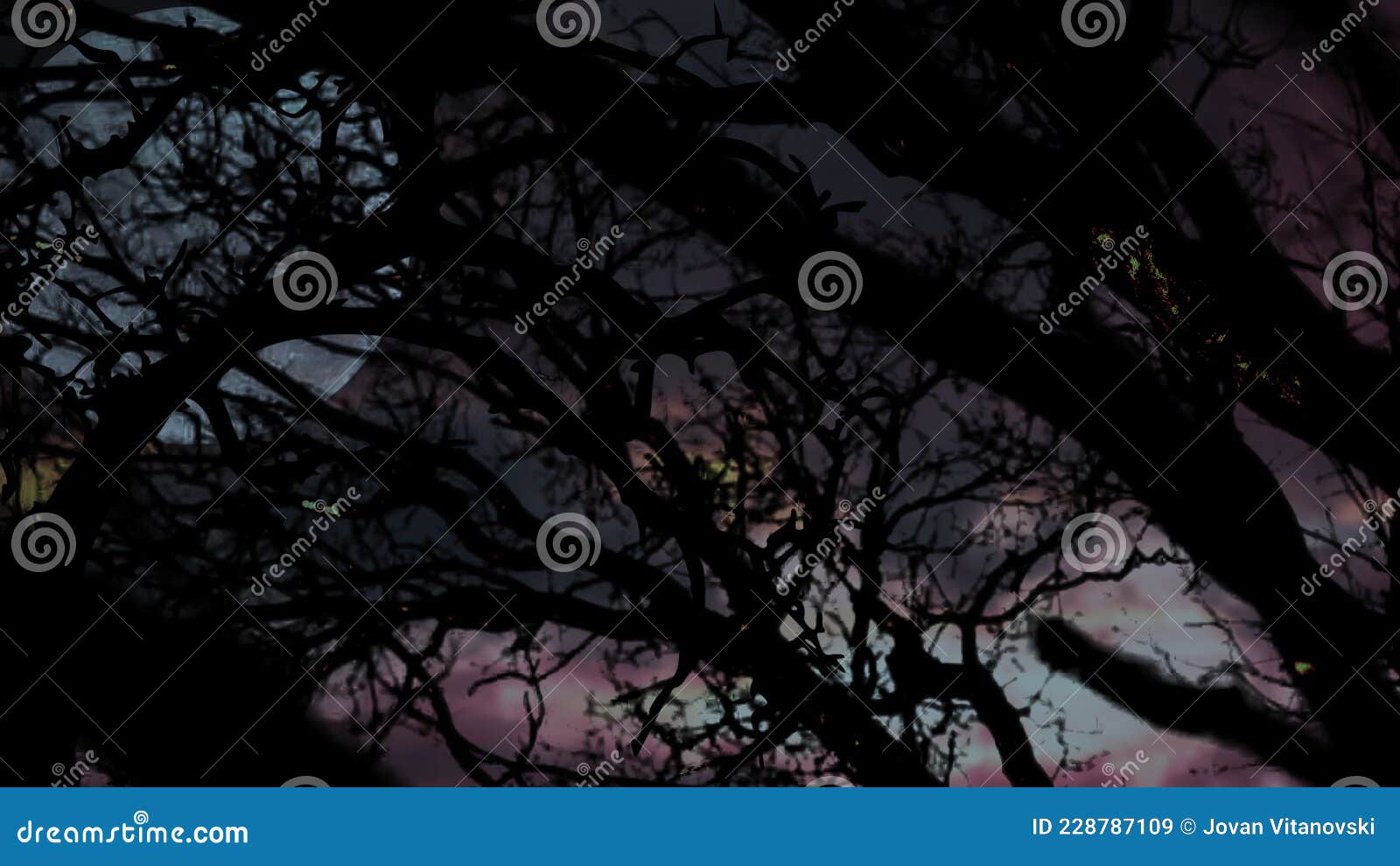 Disturbing Horror Background Stock Illustration - Illustration of tree ...