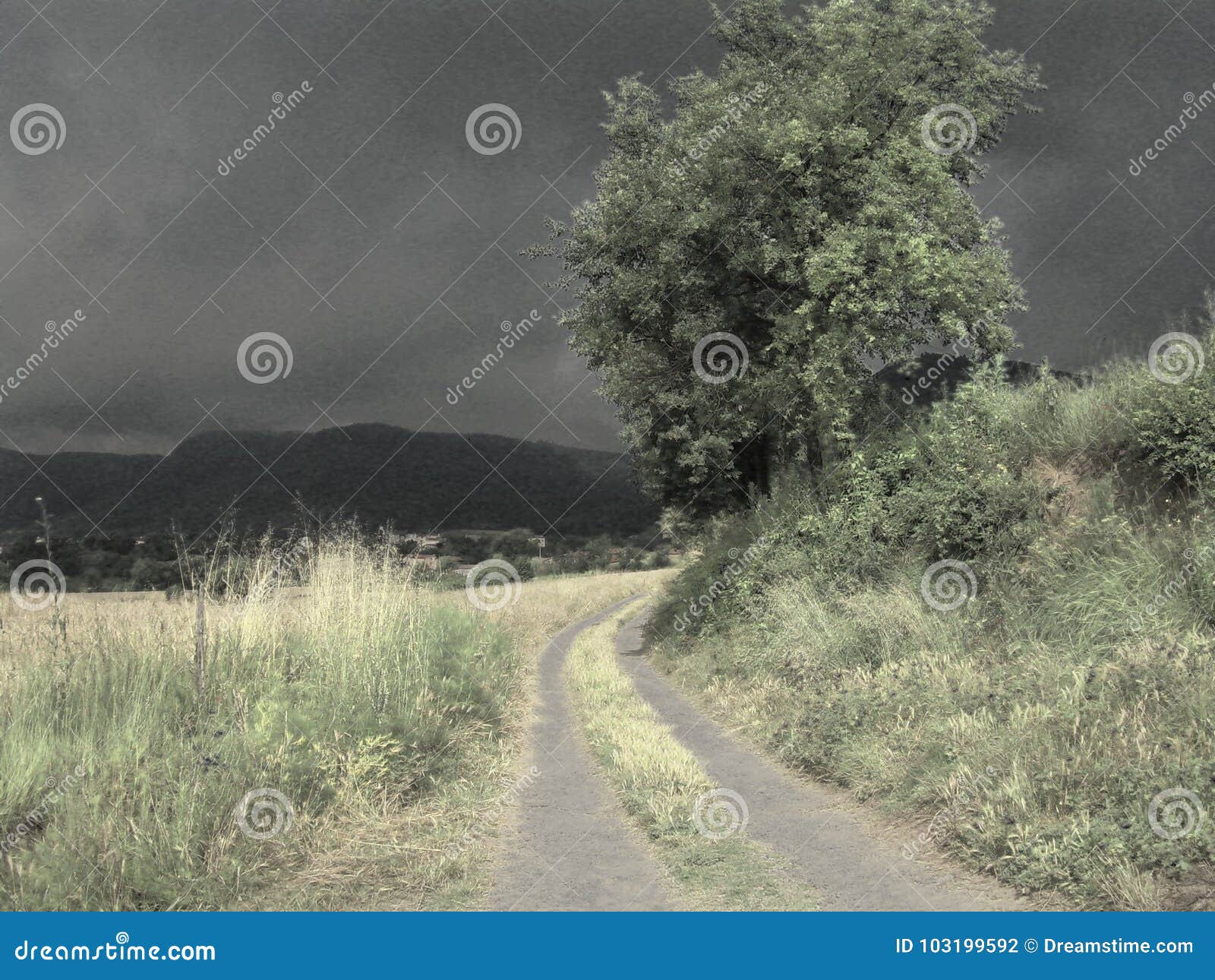 Disturbing landscape stock photo. Image of inquietante - 103199592