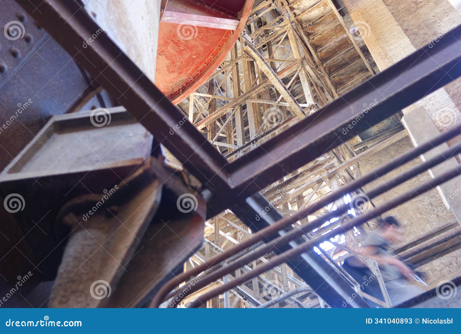 Structure Of Beet Root Under A Microscope Stock Image | CartoonDealer ...