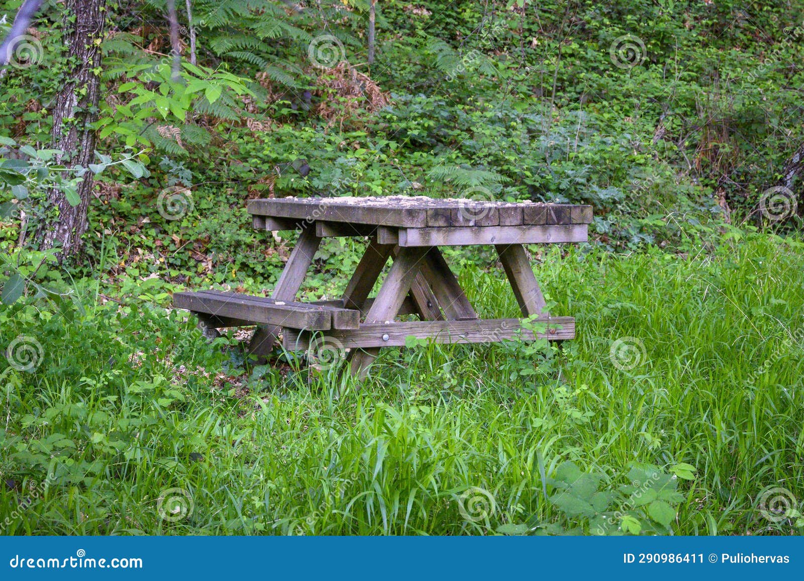 Disused Picnic Table Full of Vegetation in Nature Horizontally Stock ...