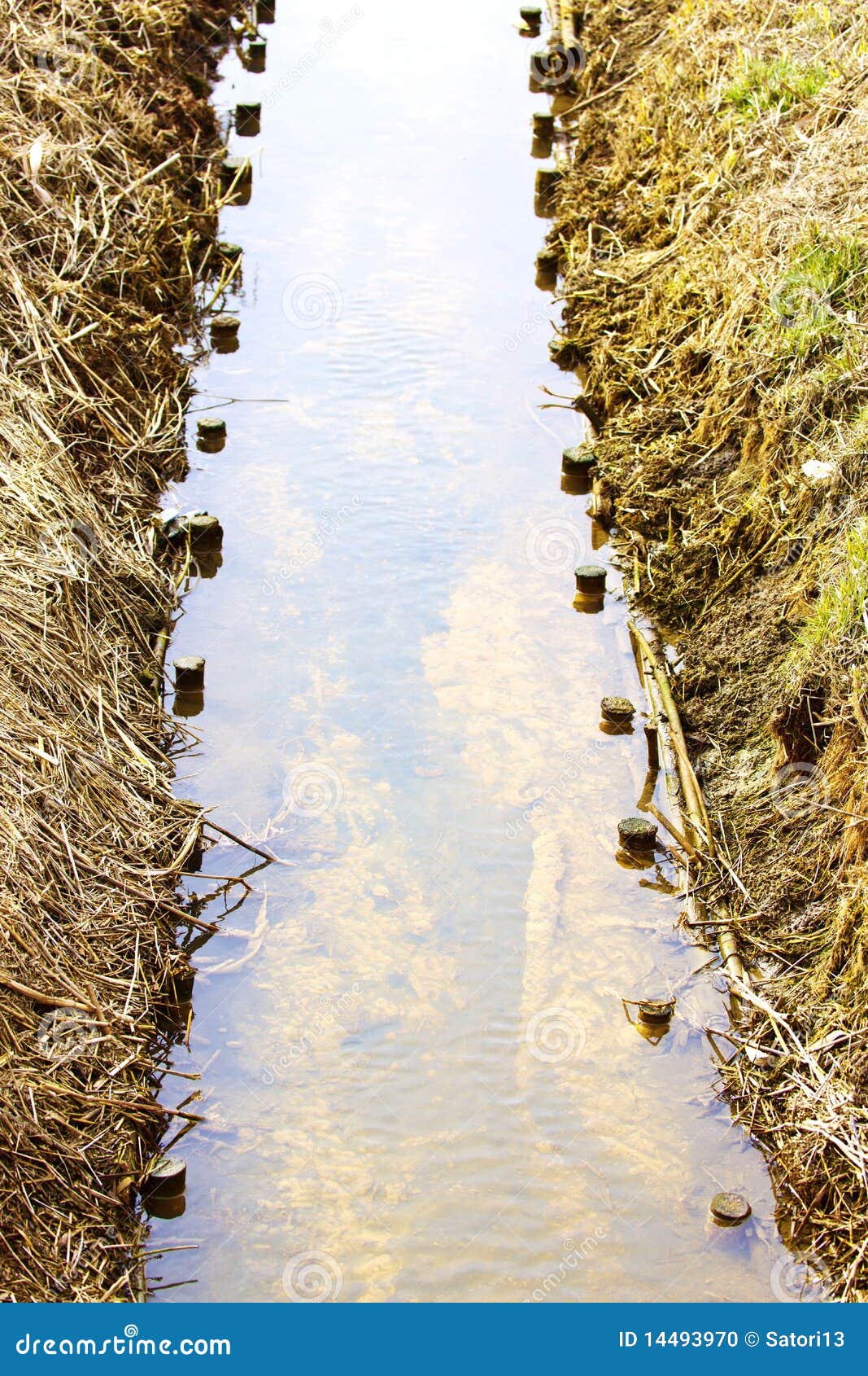 Ditch stock photo. Image of ditches, poluted, polluted - 14493970