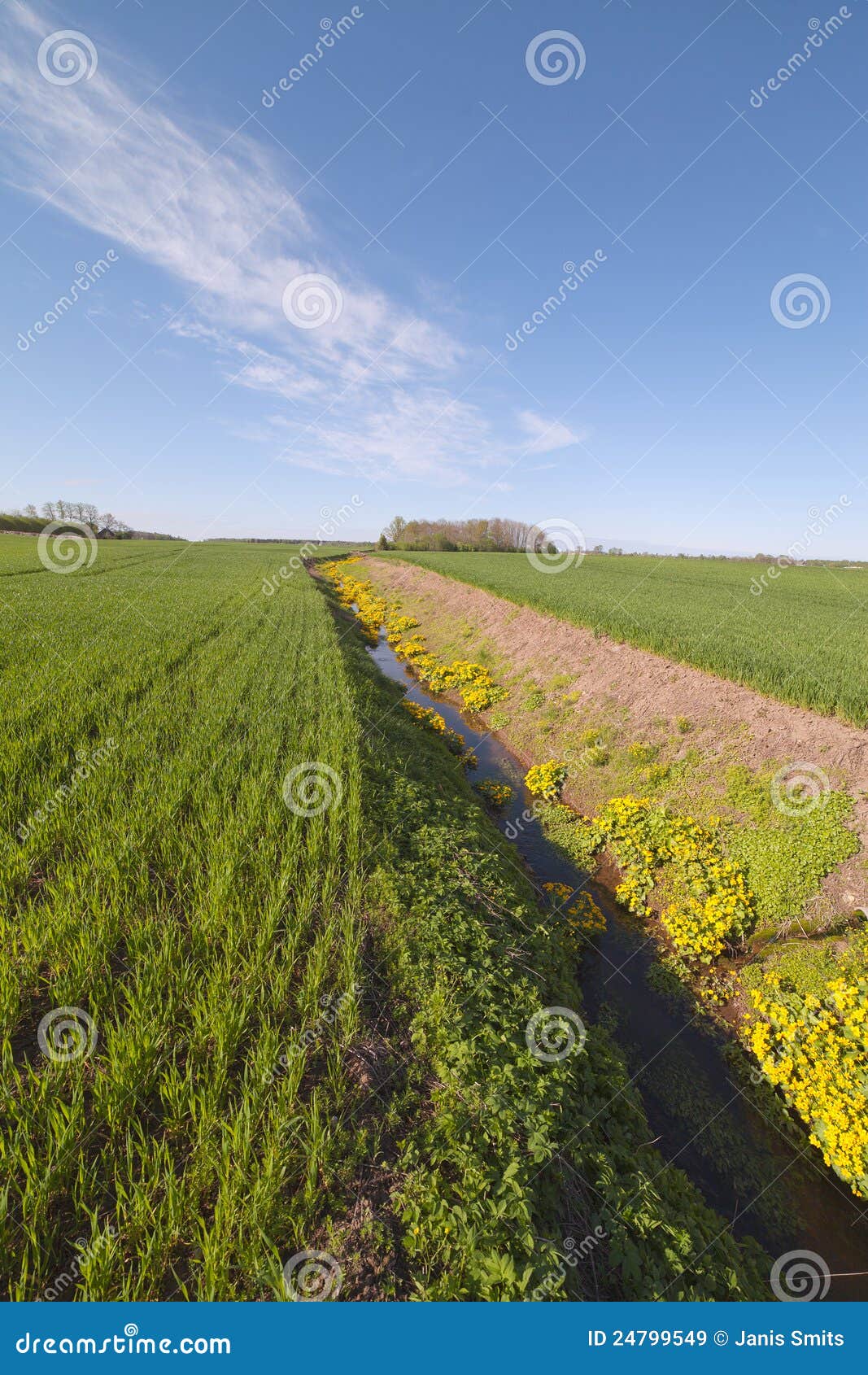 Ditch. stock image. Image of blue, plant, landscape, water - 24799549