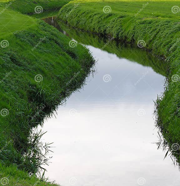 Ditch stock photo. Image of drainage, concern, environment - 262038