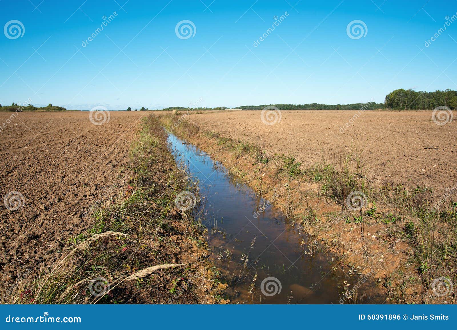 Ditch. stock photo. Image of europe, water, natural, landscape - 60391896
