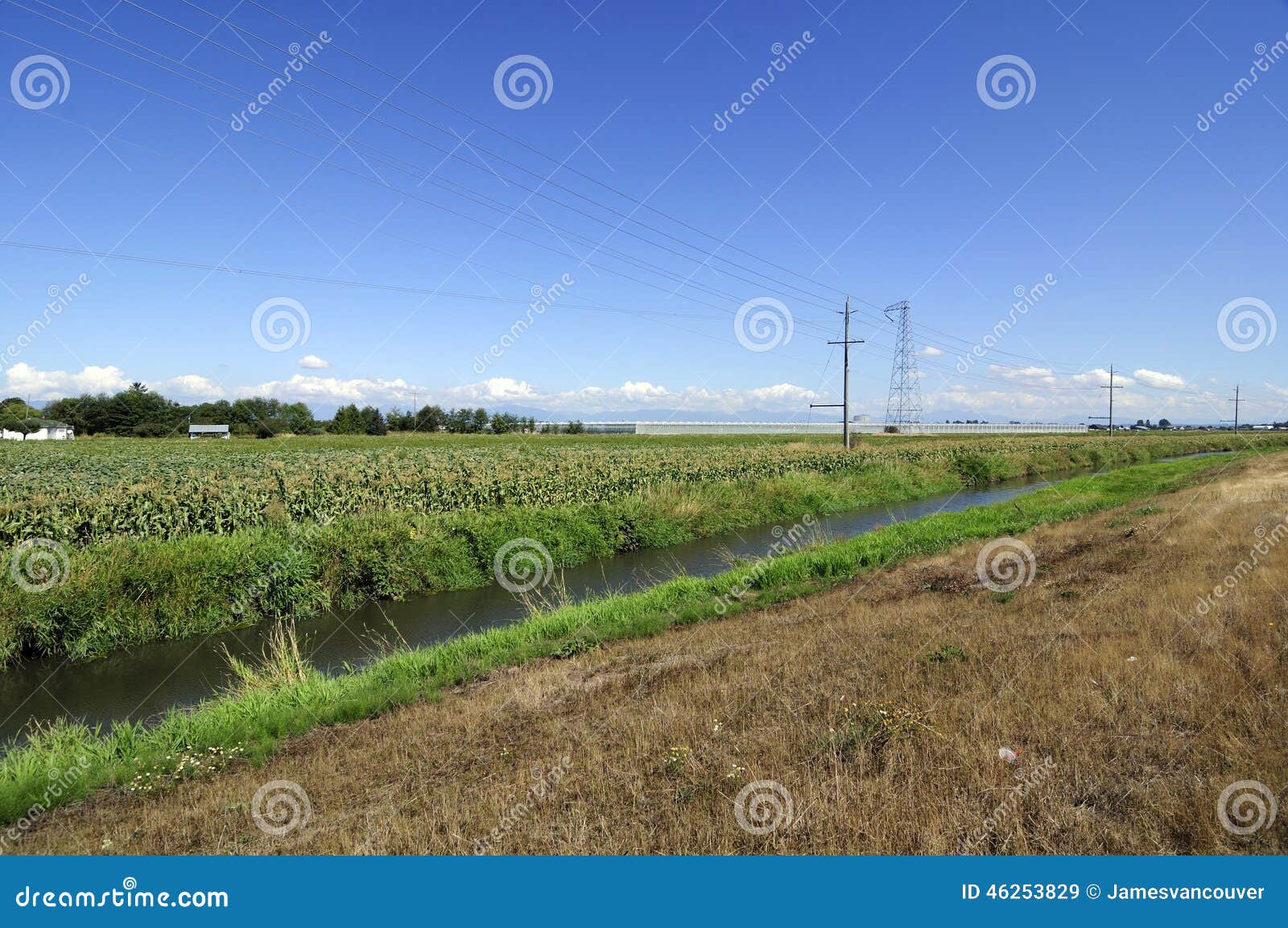 Ditch by the farm fields stock image. Image of calm, crop - 46253829