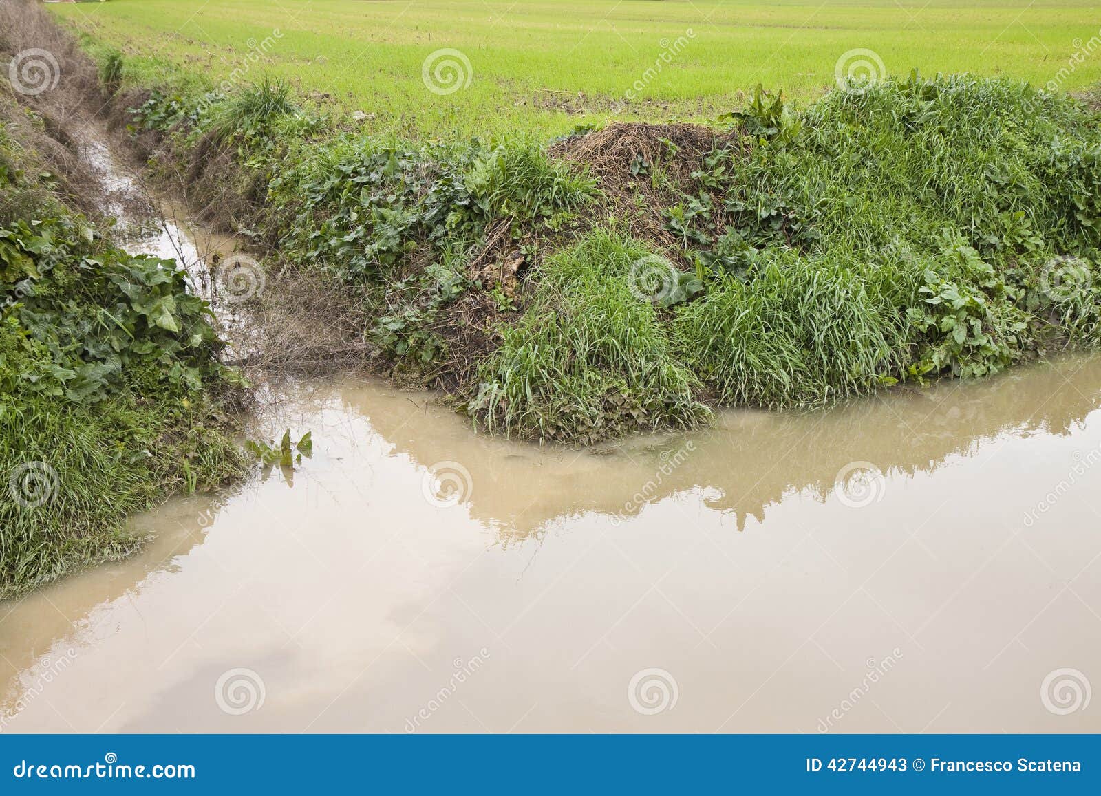 Ditch in a field stock image. Image of cloudscape, disaster - 42744943