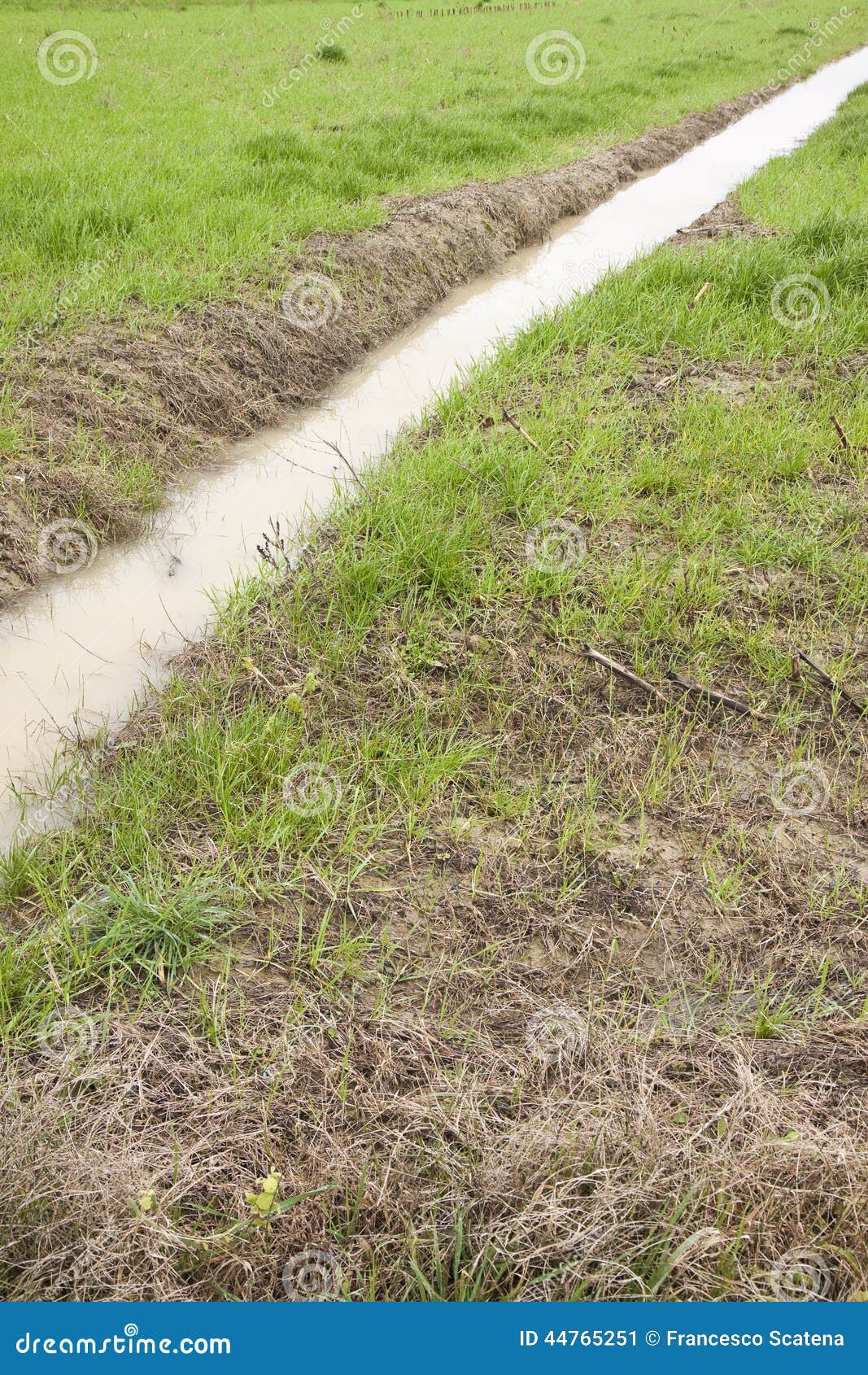 Ditch in a field stock image. Image of cultivated, collected - 44765251