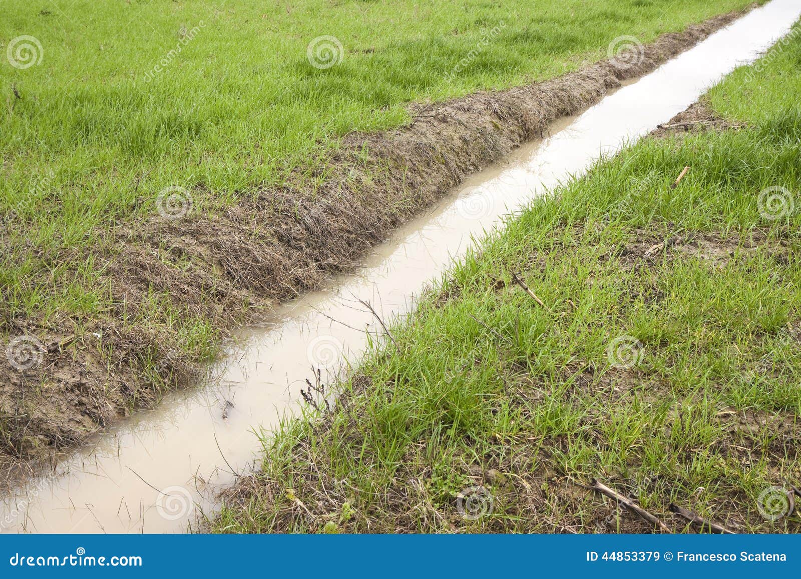 Ditch in a field stock image. Image of damage, bottom - 44853379