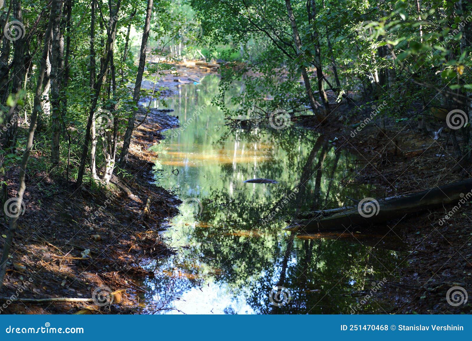 Forest Ditch Filled Water Stock Photos - Free & Royalty-Free Stock ...