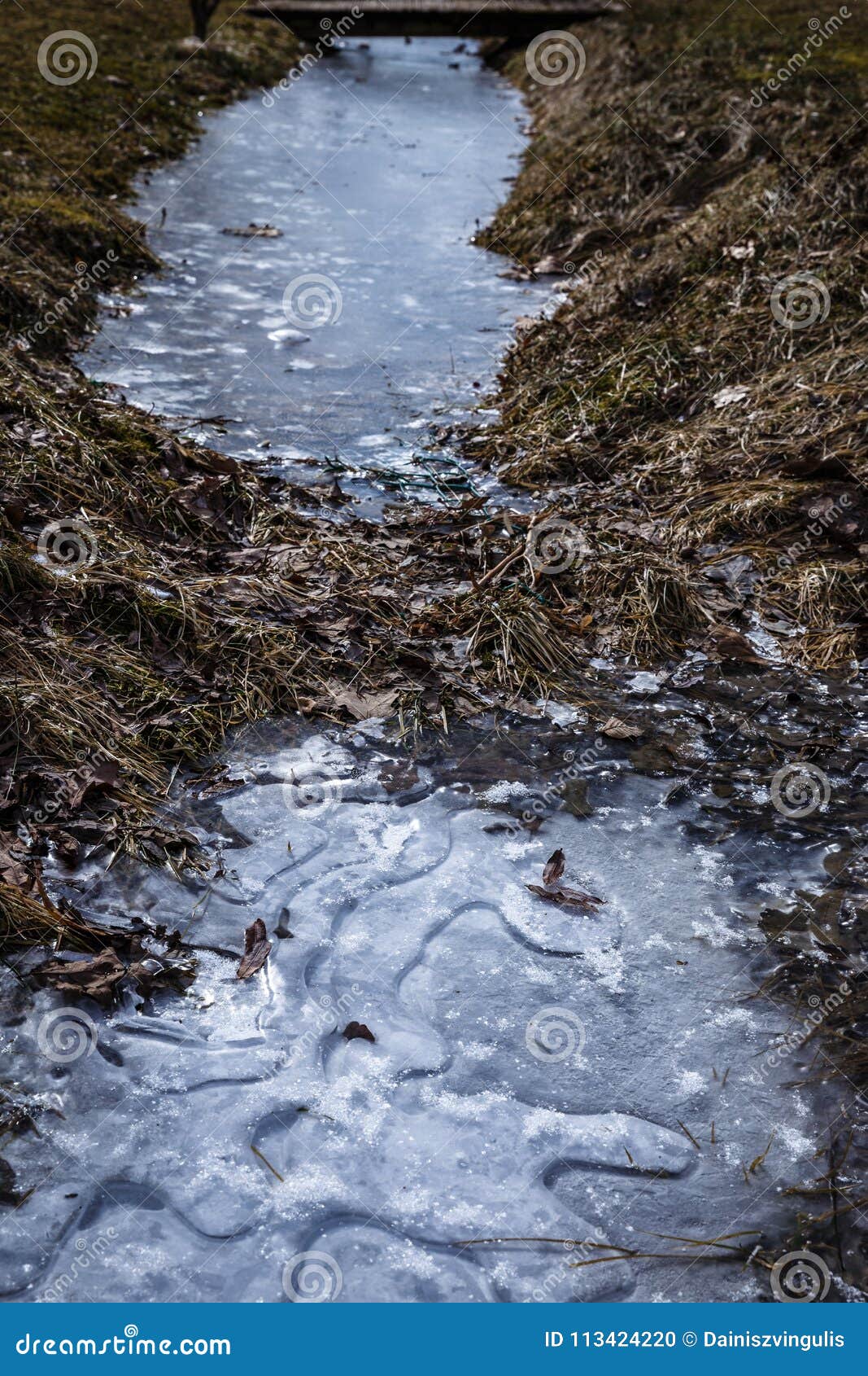 Ditch with frozen water stock photo. Image of winter - 113424220