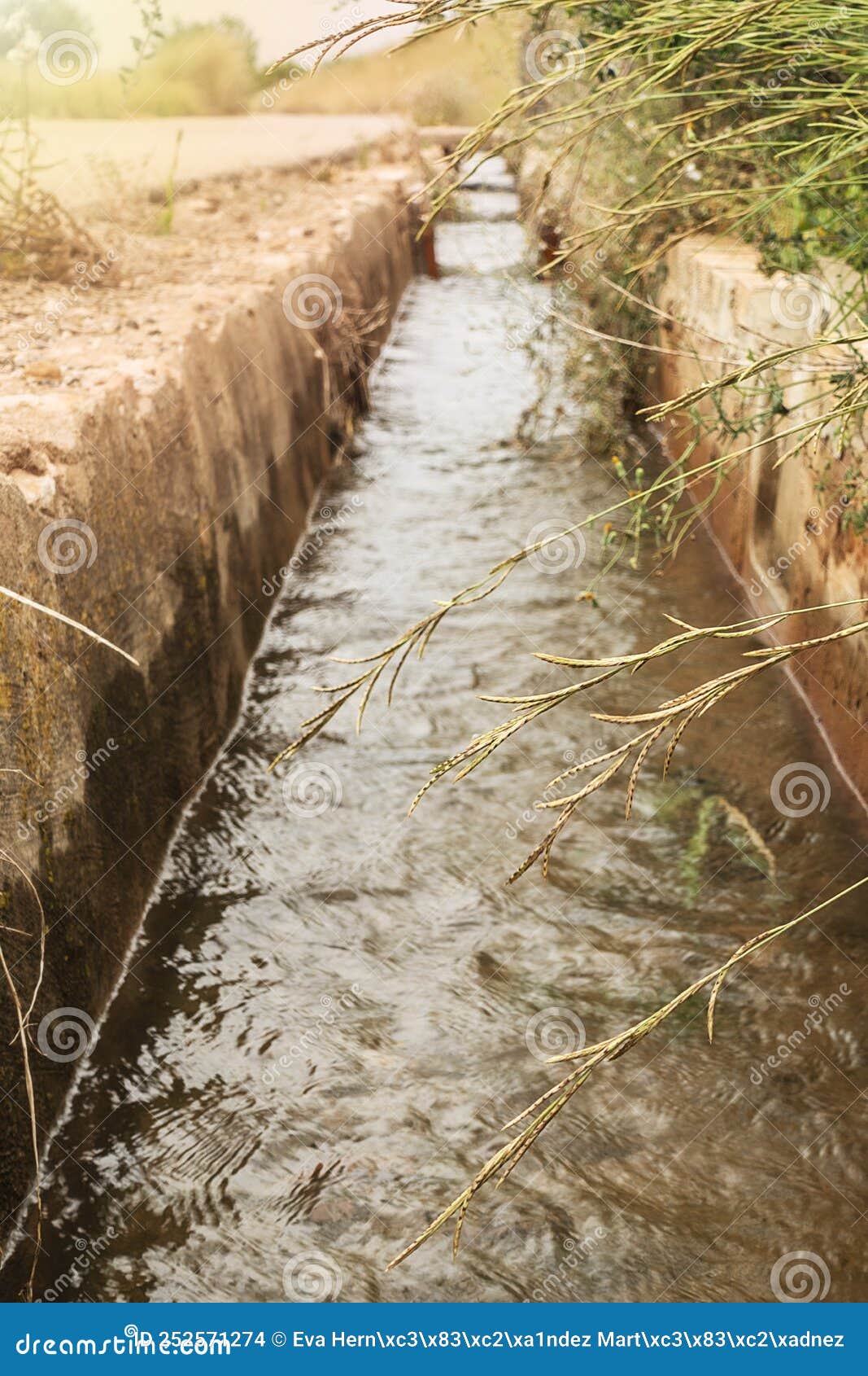 Ditch Full of Water in a Field Stock Photo - Image of nature, duct ...
