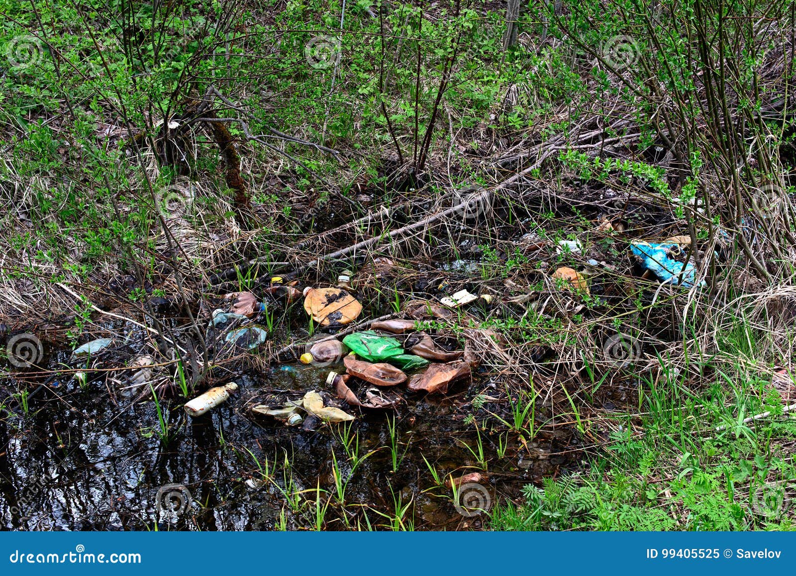 Ditch with Garbage in the Forest Stock Image - Image of cleaning ...