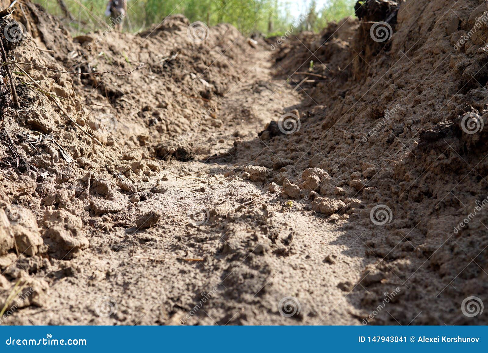 A Ditch in the Ground Close Up Stock Image - Image of closeup, garden ...